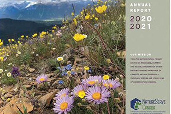 NatureServe Canada Annual Report 2019–2020 | NatureServe