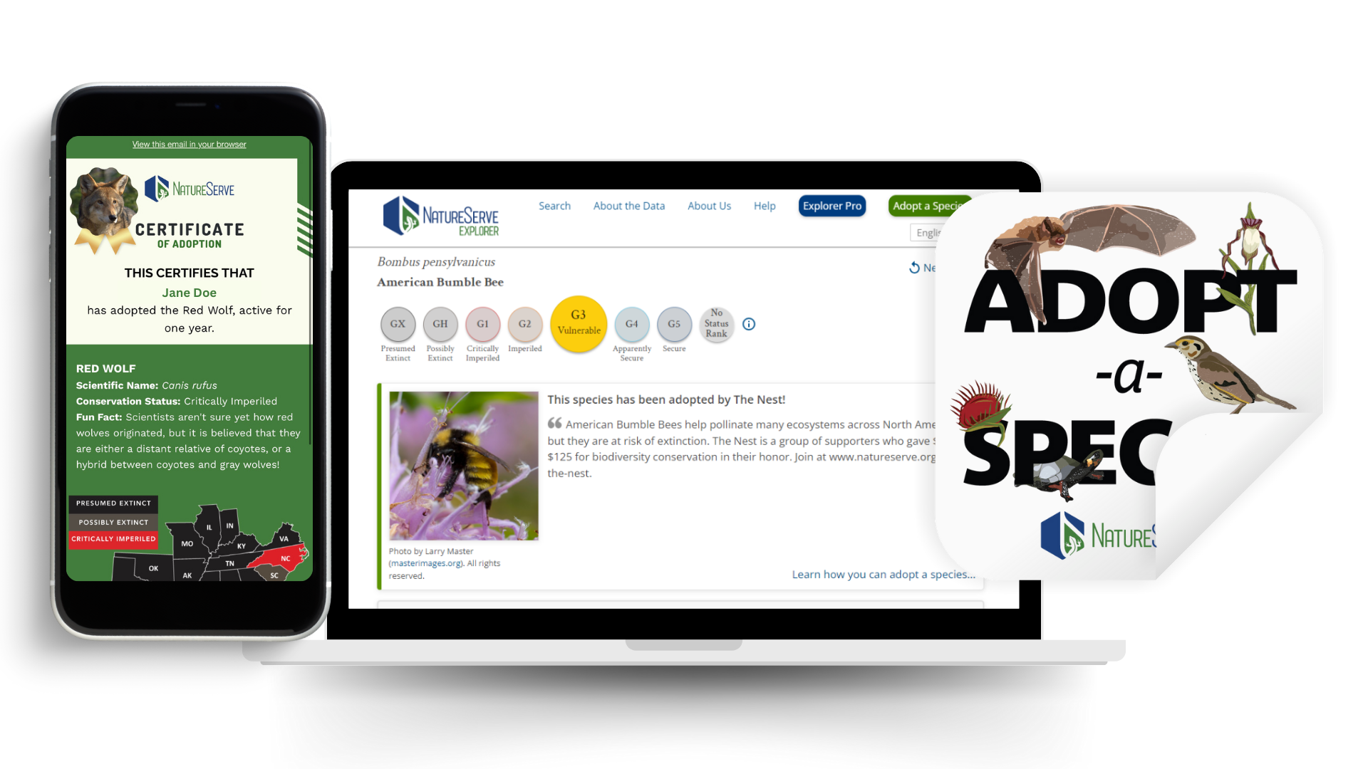 Adopt a Species | NatureServe